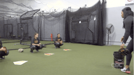 Amber Freeman Catcher Training Series - The Art of Coaching Softball